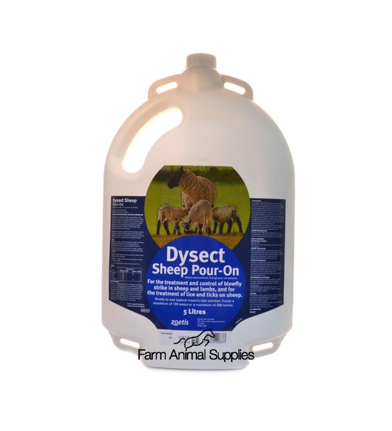 Dysect Pour-On For Sheep 5L | Treatment/Control of blowfly | Treatment ...