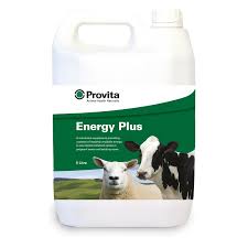 Provita Energy Plus 5 Litre – Farm Animal Supplies